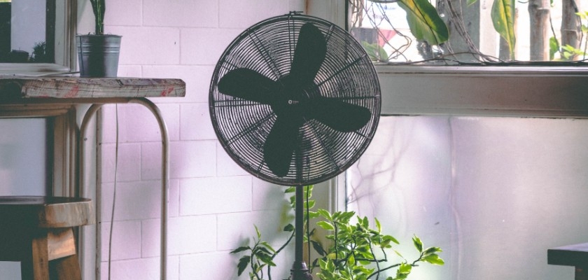 Jaki wiatrak domowy kupić? Przewodnik po wentylatorach